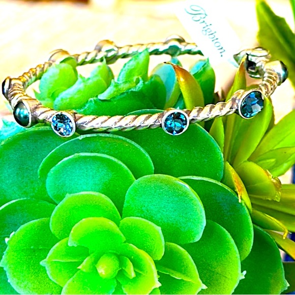 Brighton | Jewelry | Brighton Monte Carlo Blue Swarovski Crystal Pearl ...